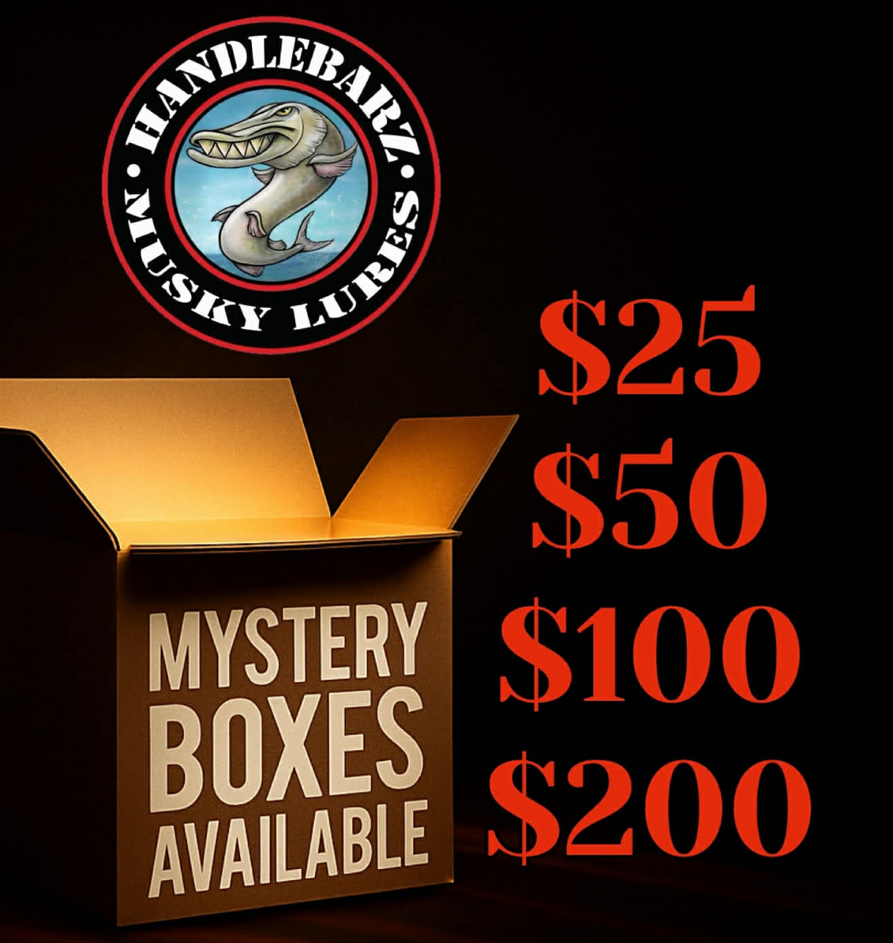 Mystery Boxes – Handlebarz Fishing New